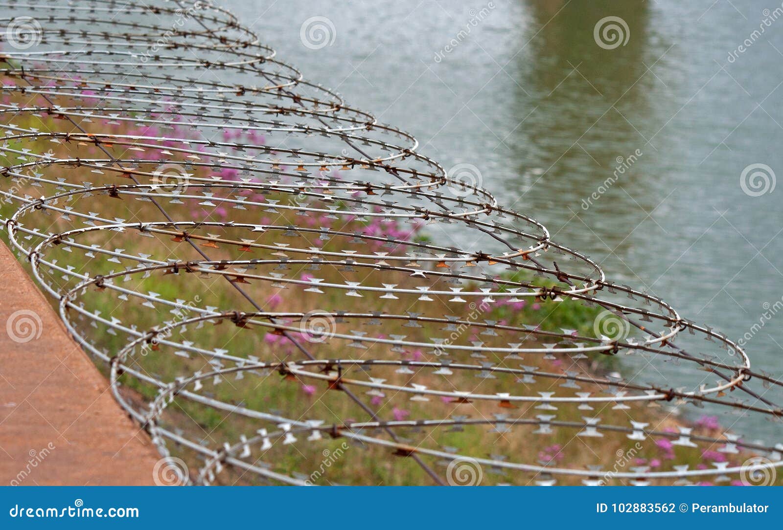 RAZOR WIRE BARRIER stock photo. Image of access, scene - 102883562