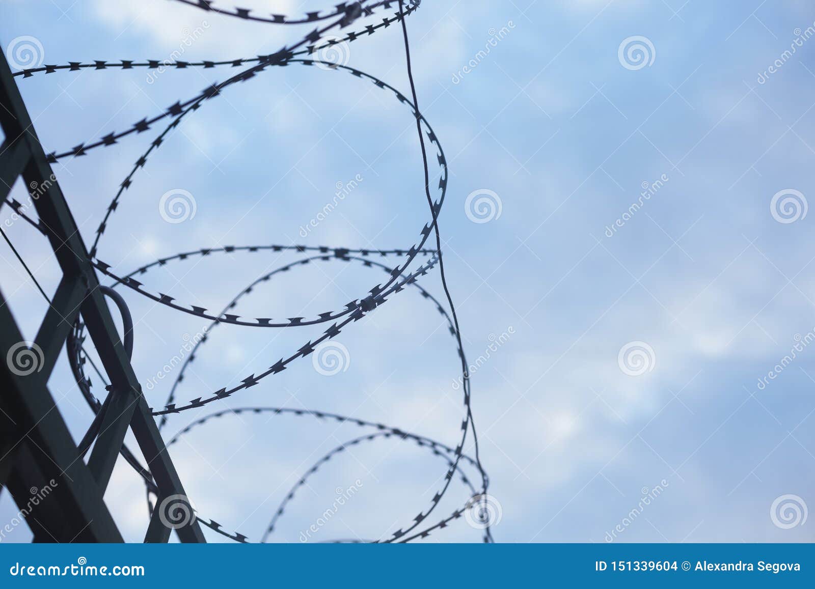 Razor wire close-up stock photo. Image of hank, danger - 151339604