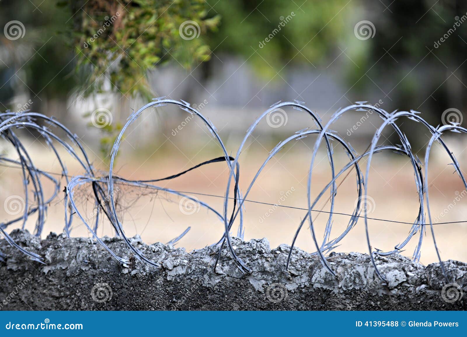 Razor Wire stock photo. Image of protection, prevent - 41395488