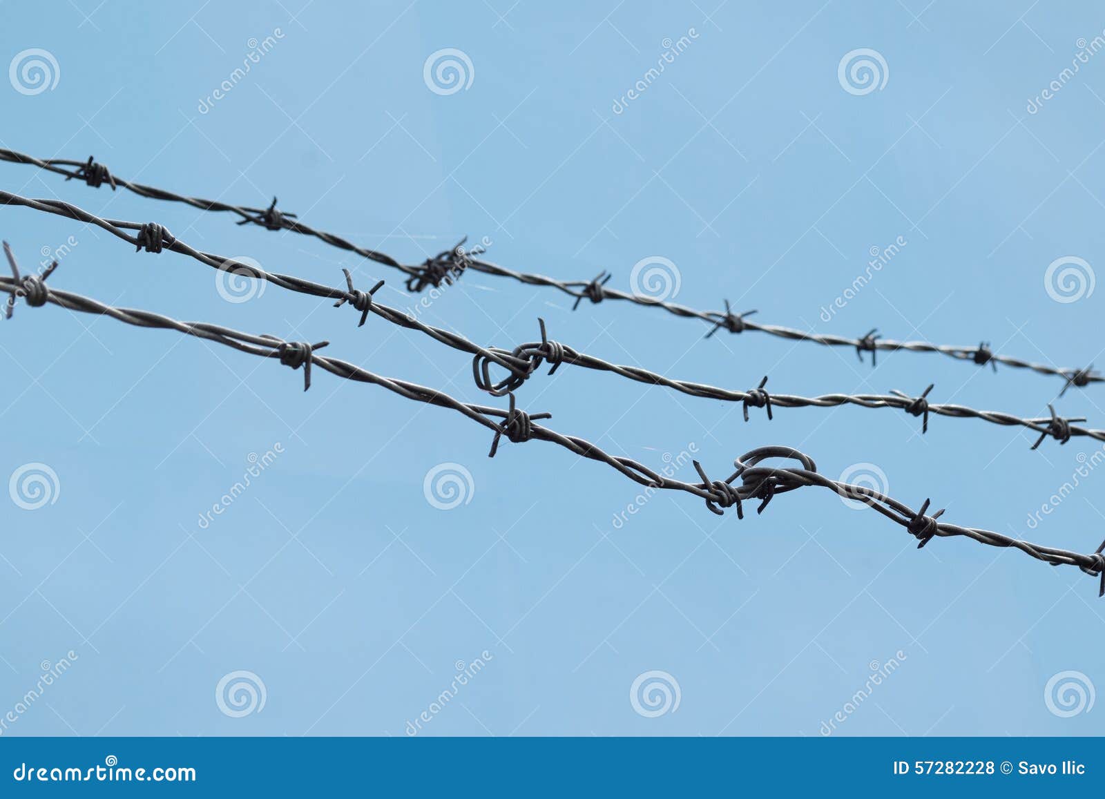 Razor wire stock photo. Image of protective, environment - 57282228