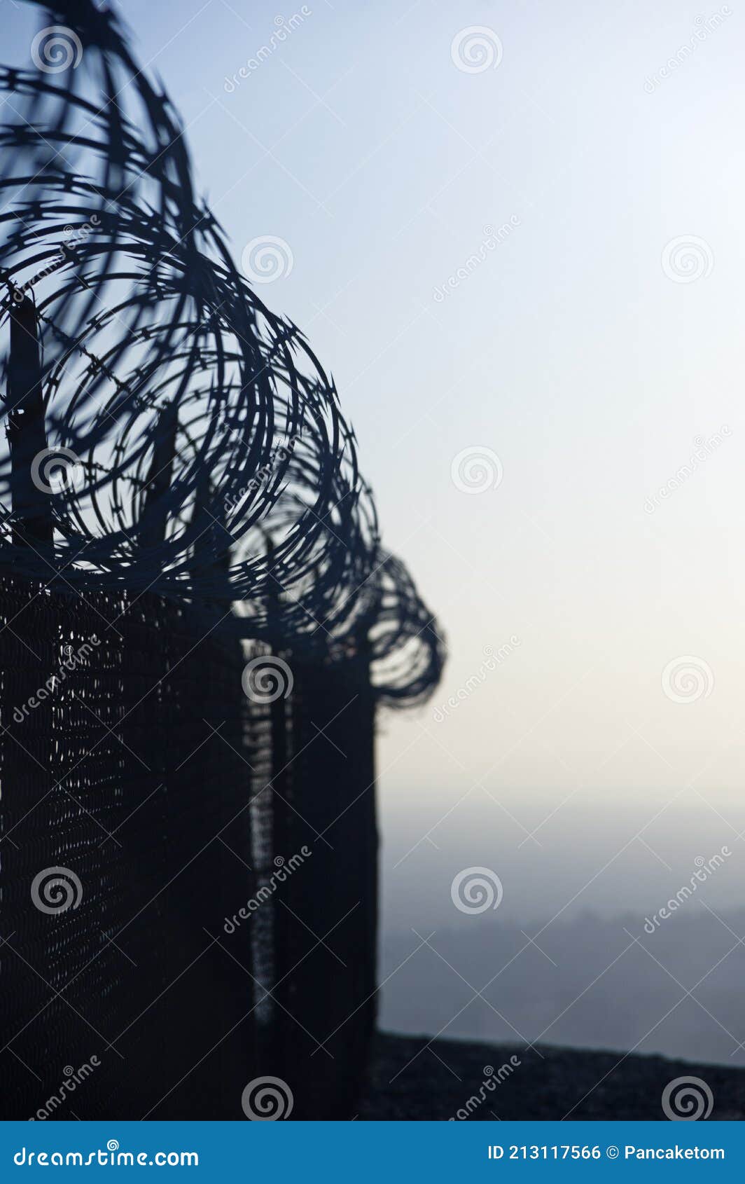 Razor Wire Fence stock photo. Image of focus, field - 213117566