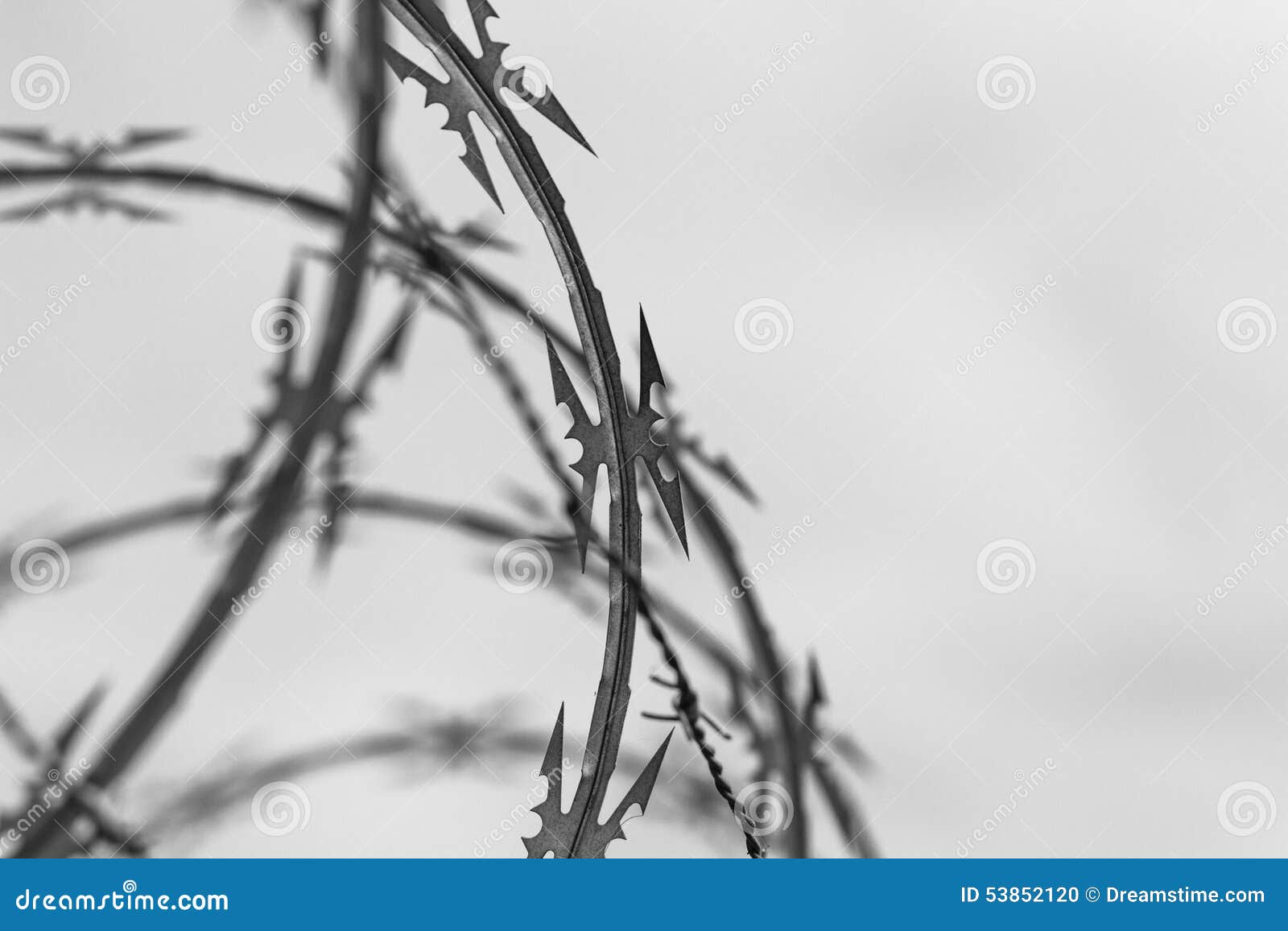 Razor Wire stock photo. Image of razor, black, wire, soft - 53852120