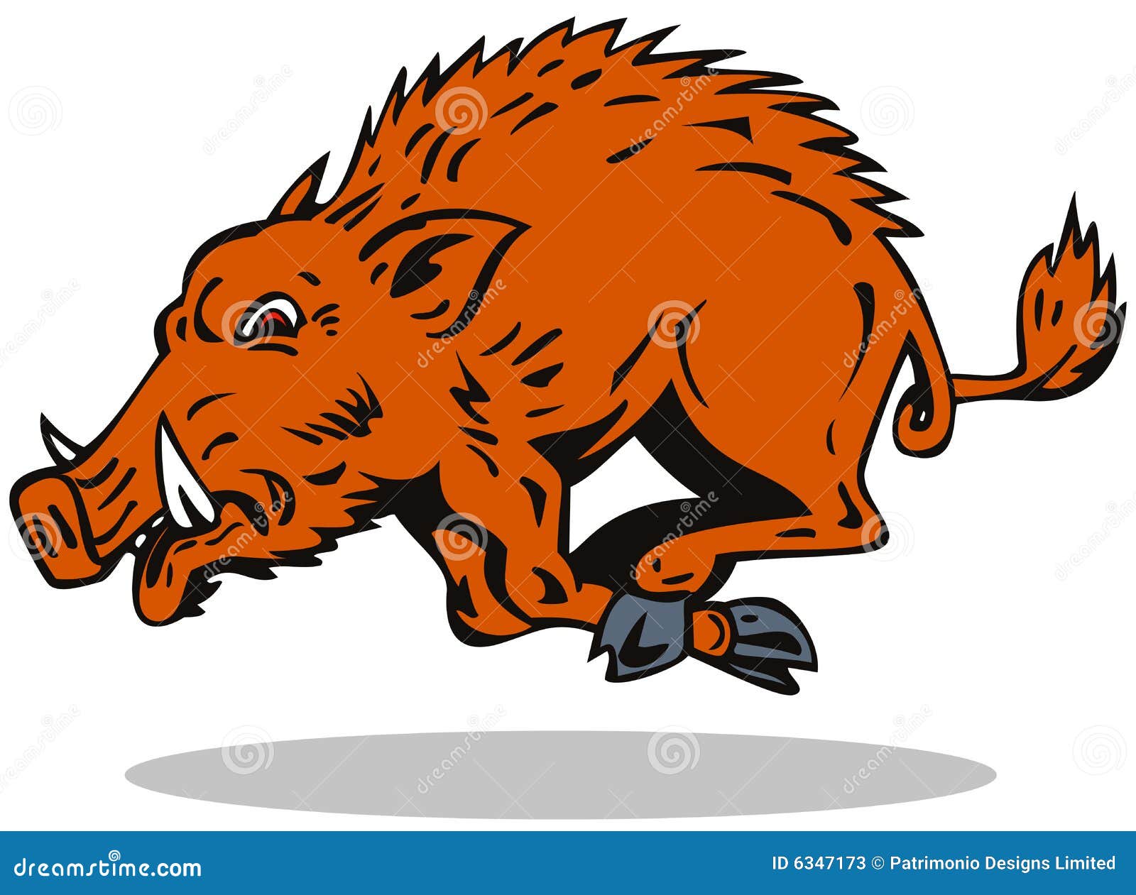 Razorback stock illustration. Illustration of isolated - 6347173