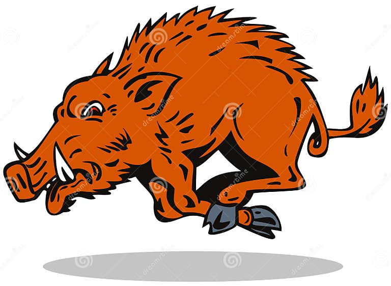 Razorback stock illustration. Illustration of isolated - 6347173