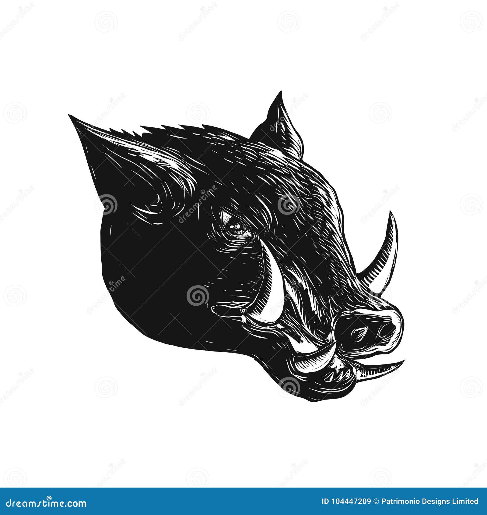 Razorback Wild Hog Feral Pig Head Woodcut Black And White Circle ...
