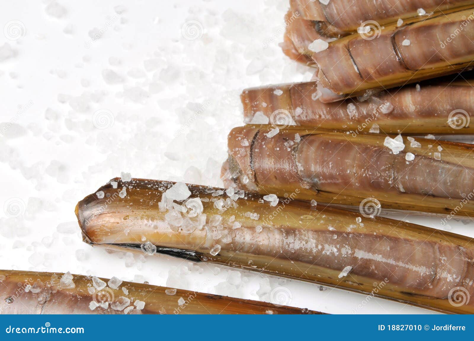 Razorshells stock photo. Image of closeup, crude, culinary - 18827010