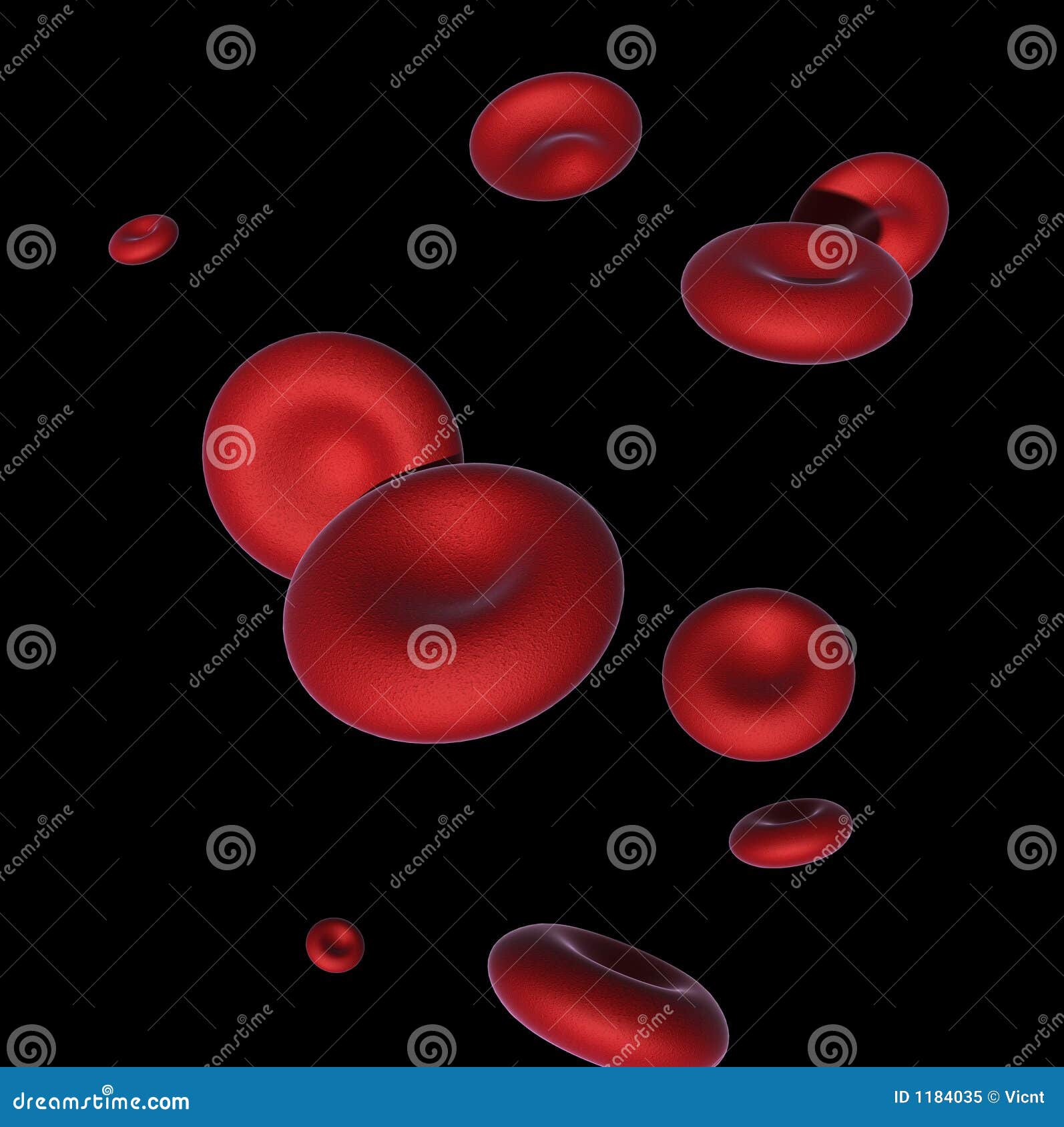 RBC stock illustration. Illustration of science, life - 1184035