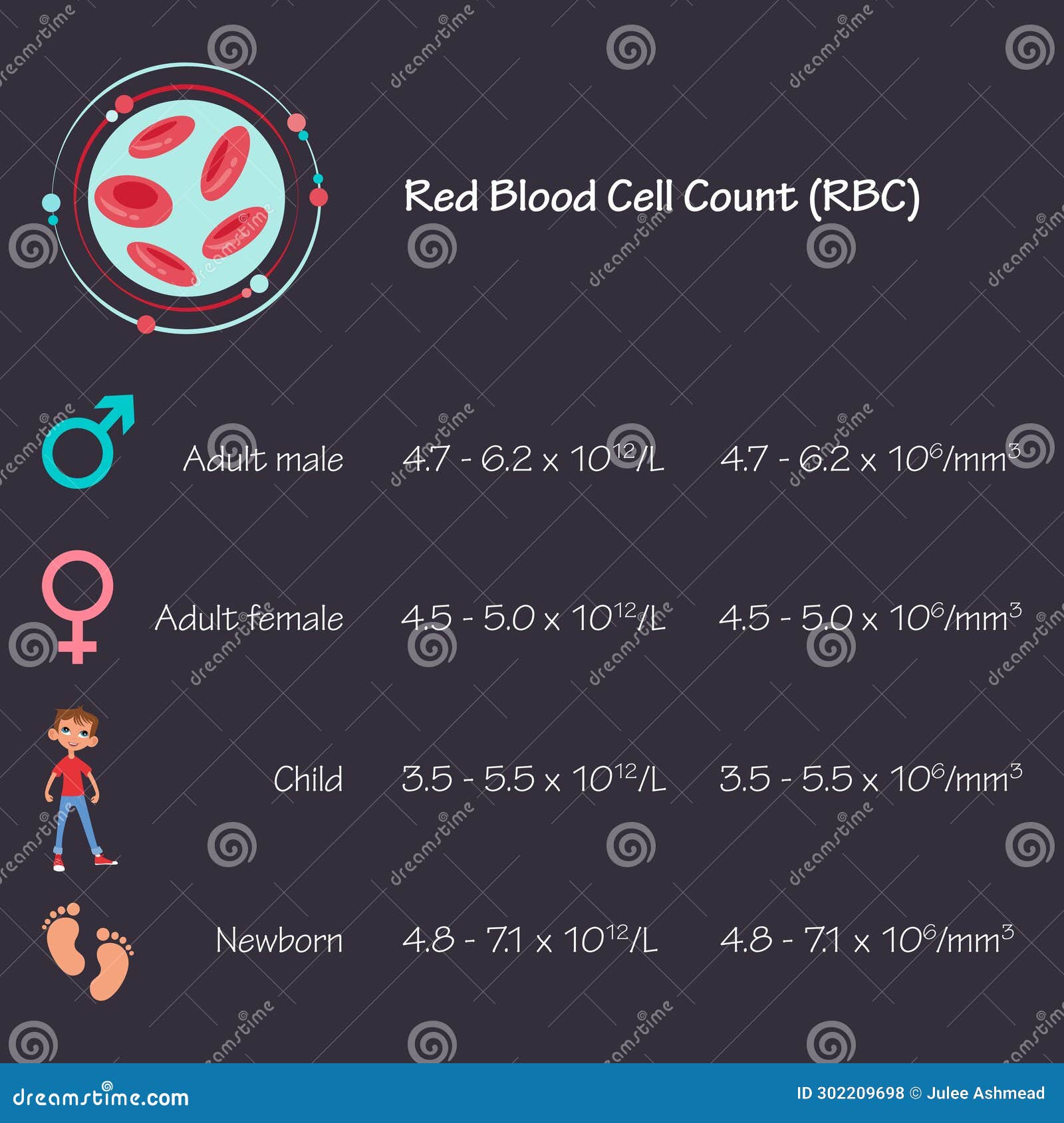 Red Blood Cell RBC Blood Test Medical Vector Illustration Infographic ...