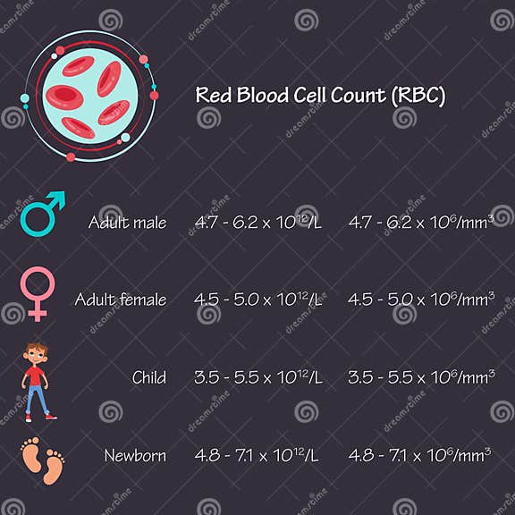 Red Blood Cell RBC Blood Test Medical Vector Illustration Infographic ...