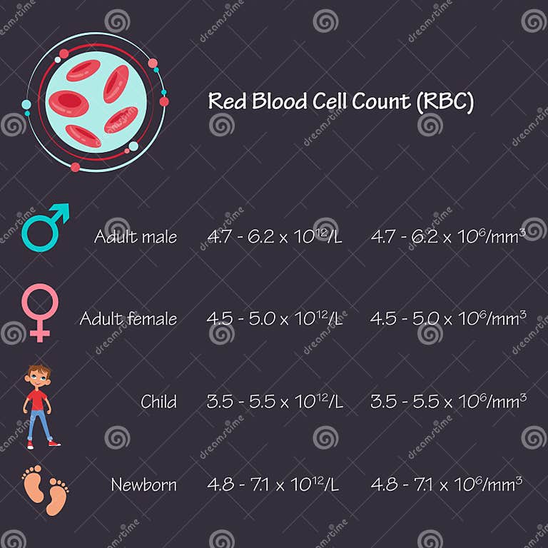Red Blood Cell RBC Blood Test Medical Vector Illustration Infographic ...