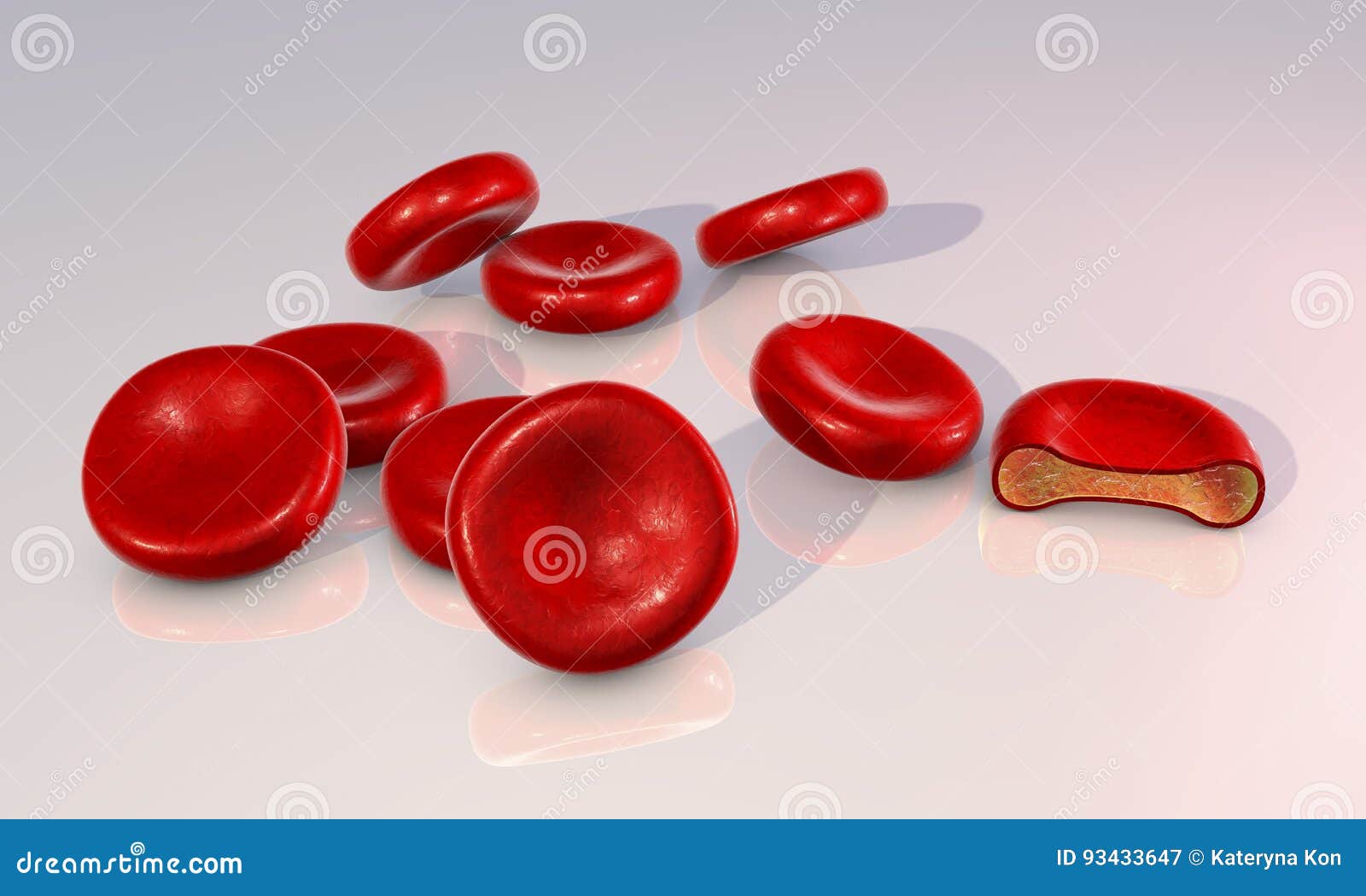 RBCs En in Dwarsdoorsnede Van Rode Bloedcel Stock Illustratie ...