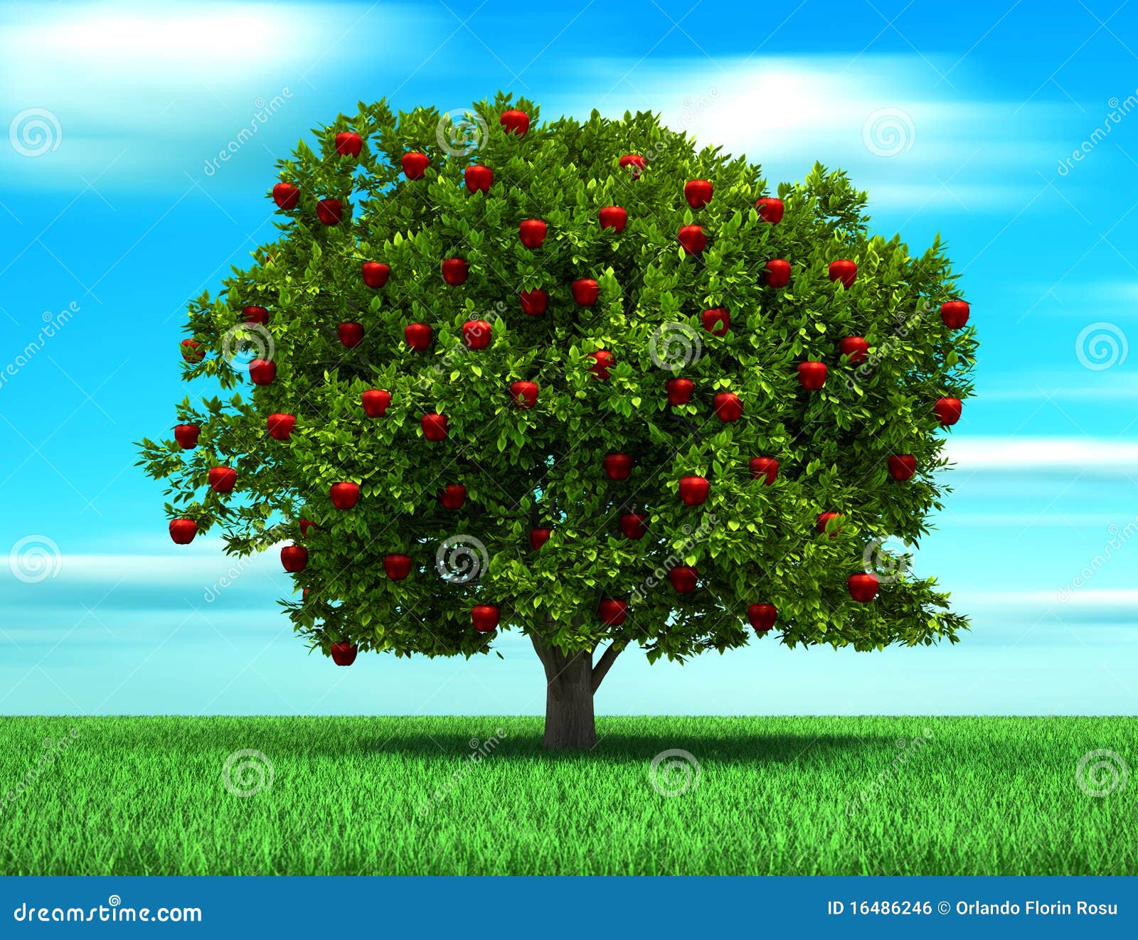 Árbol Con La Manzana Imagen de archivo libre de regalías - Imagen: 16486246