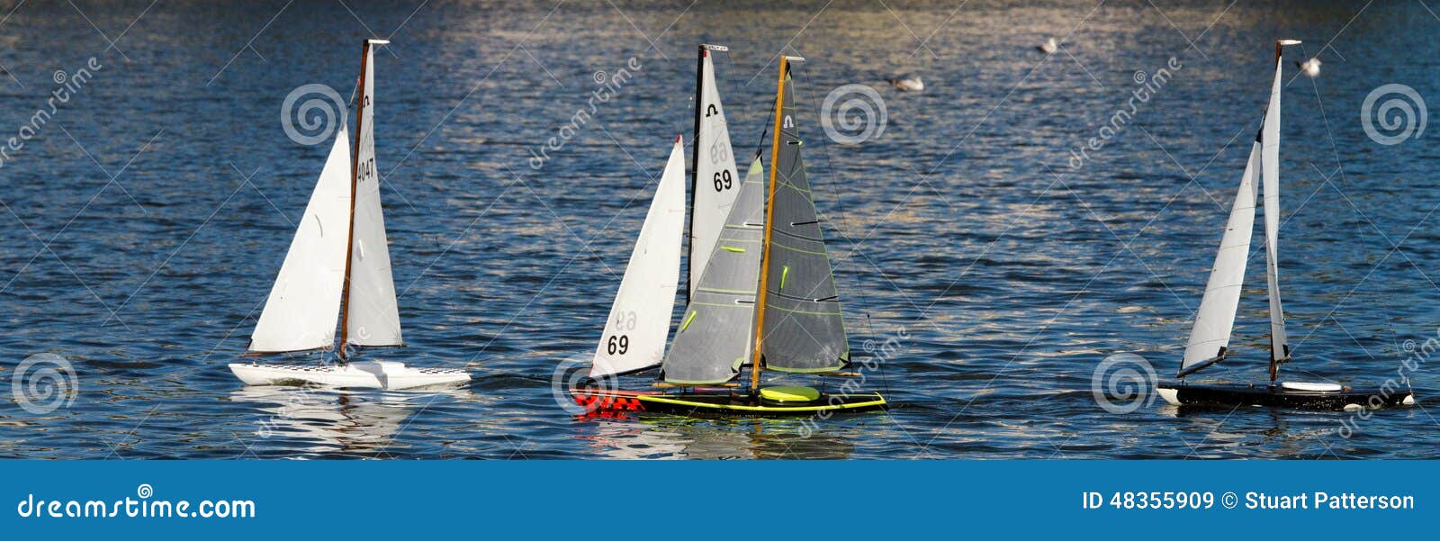 RC Sailboats Racing stock image. Image of lake, control - 48355909
