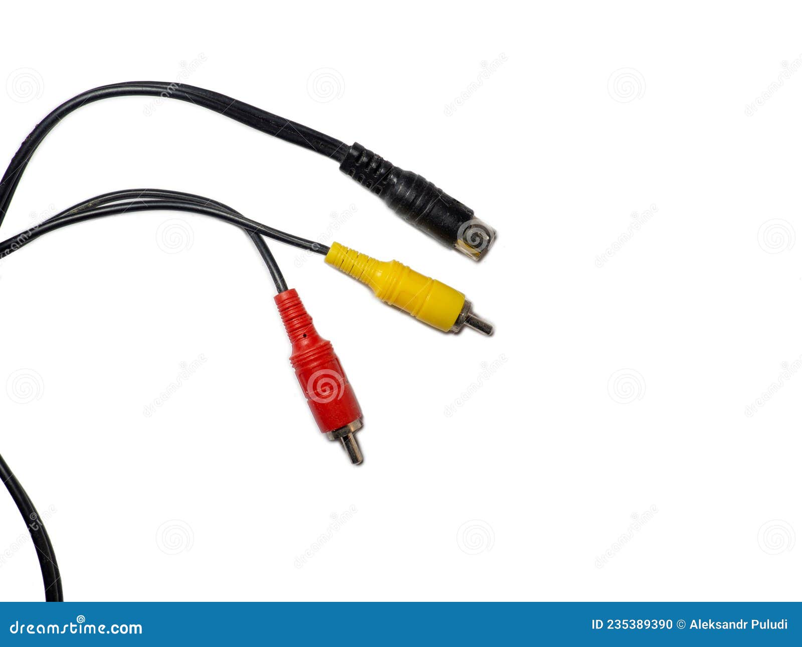 RCA Connector. the Wire is a Tulip Stock Photo - Image of video ...