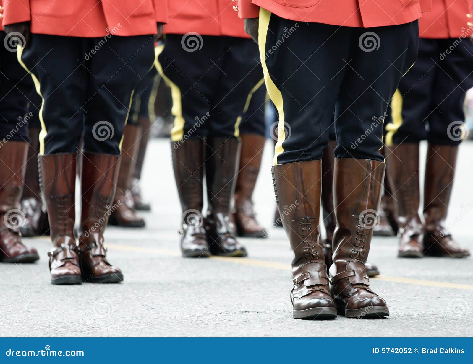 Rcmp Parade Scene Editorial Photography Image Of Brown 5742052 4140