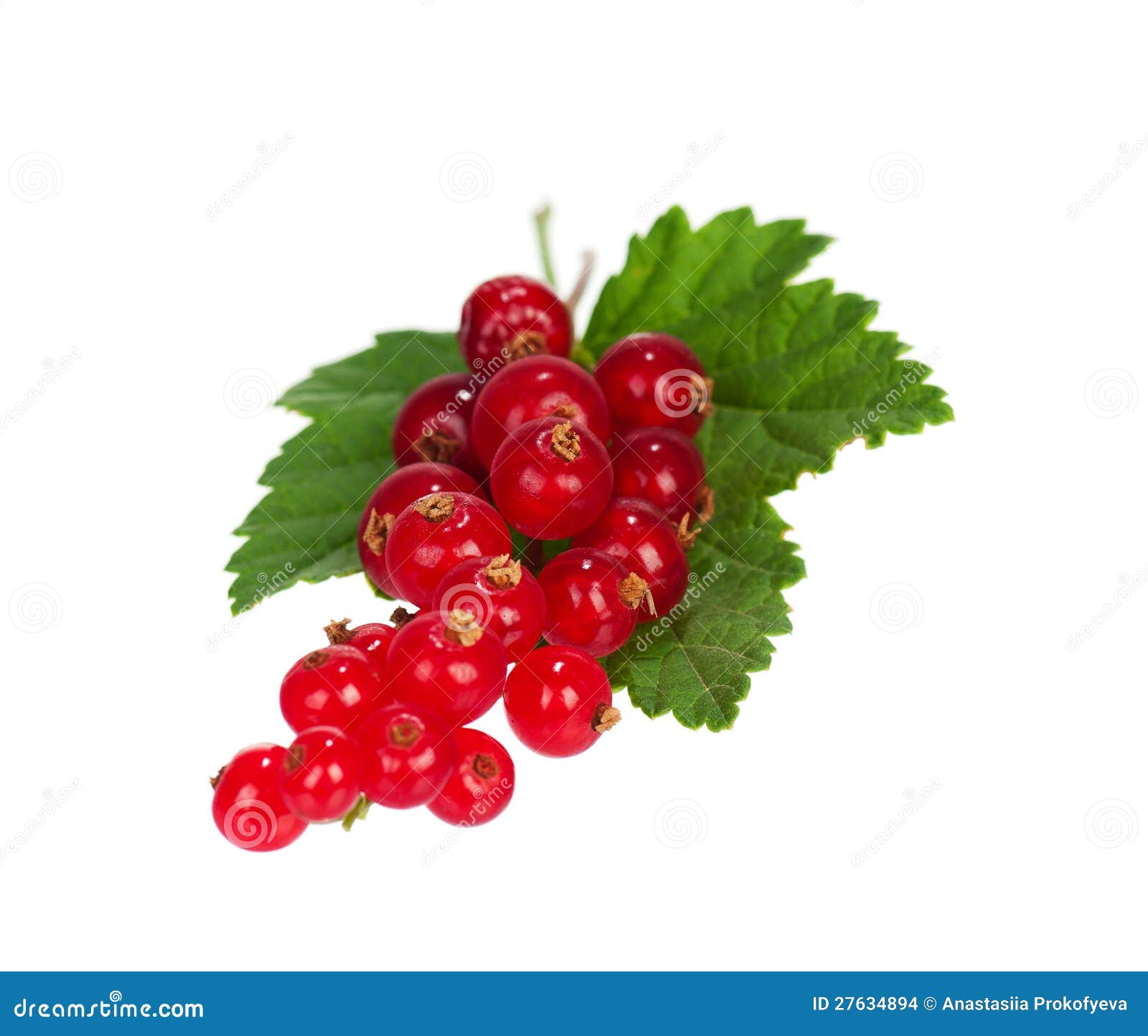 Röd Vinbär Arkivbilder - Bild: 27634894