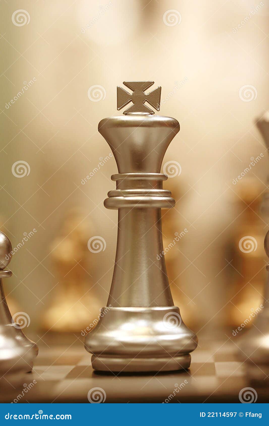 Re di scacchi immagine stock. Immagine di mercato, concetto - 22114597