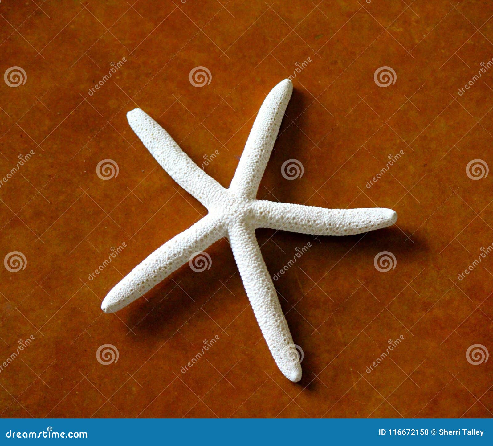 Reach for the Stars stock photo. Image of white, simplicity - 116672150