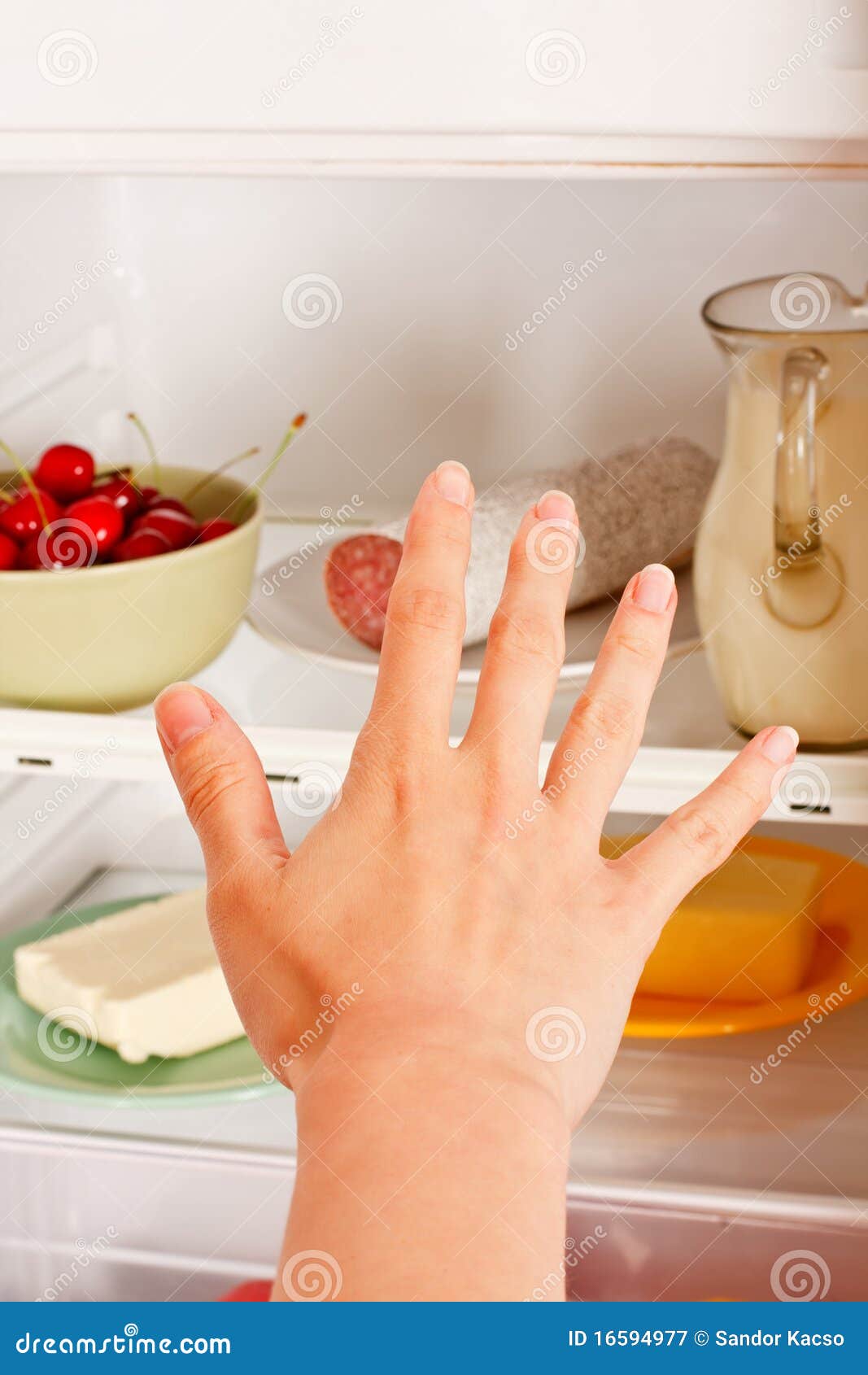 Reaching for food stock image. Image of freezer, kitchen - 16594977