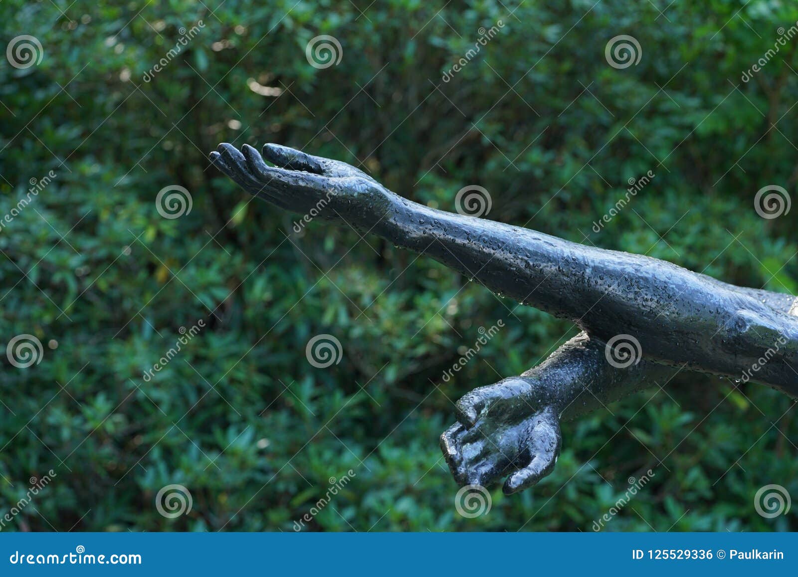 Reaching out. stock photo. Image of stone, hope, closeup - 125529336