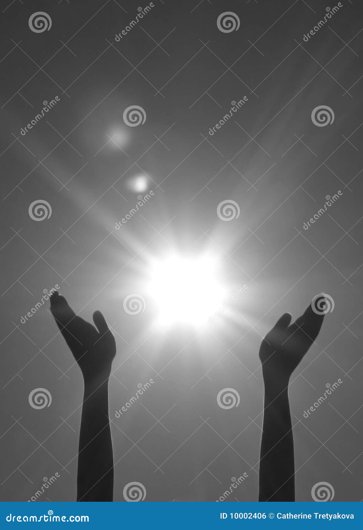 Reaching out for the sun stock photo. Image of energy - 10002406