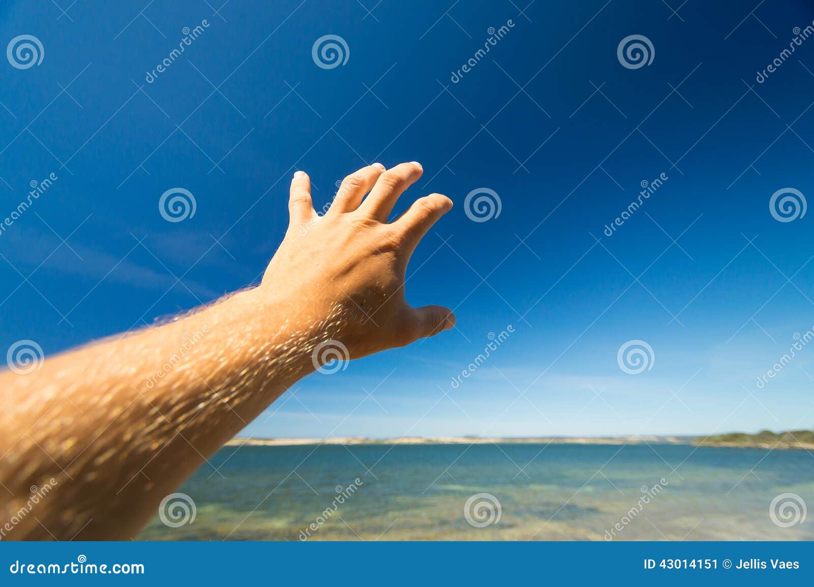 Reaching for the sky stock image. Image of people, landscape - 43014151