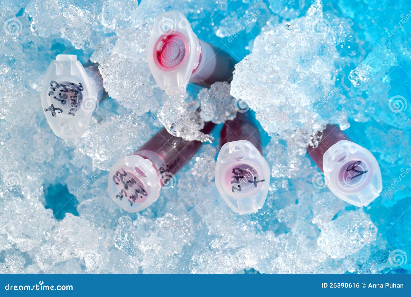 Reaction plastic tube stock photo. Image of analysis - 26390616