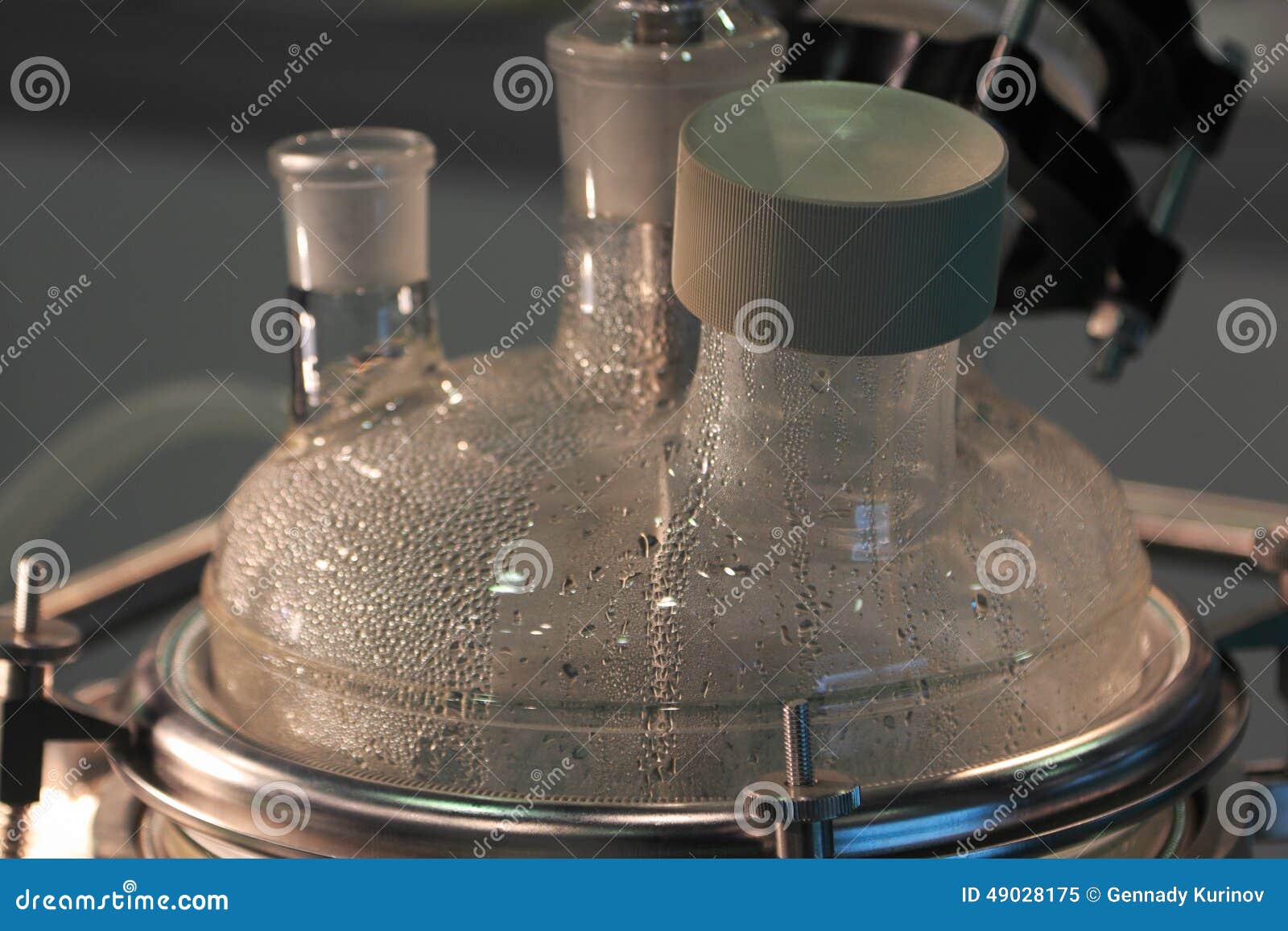 Reactor Químico De Cristal Del Laboratorio Imagen de archivo - Imagen ...