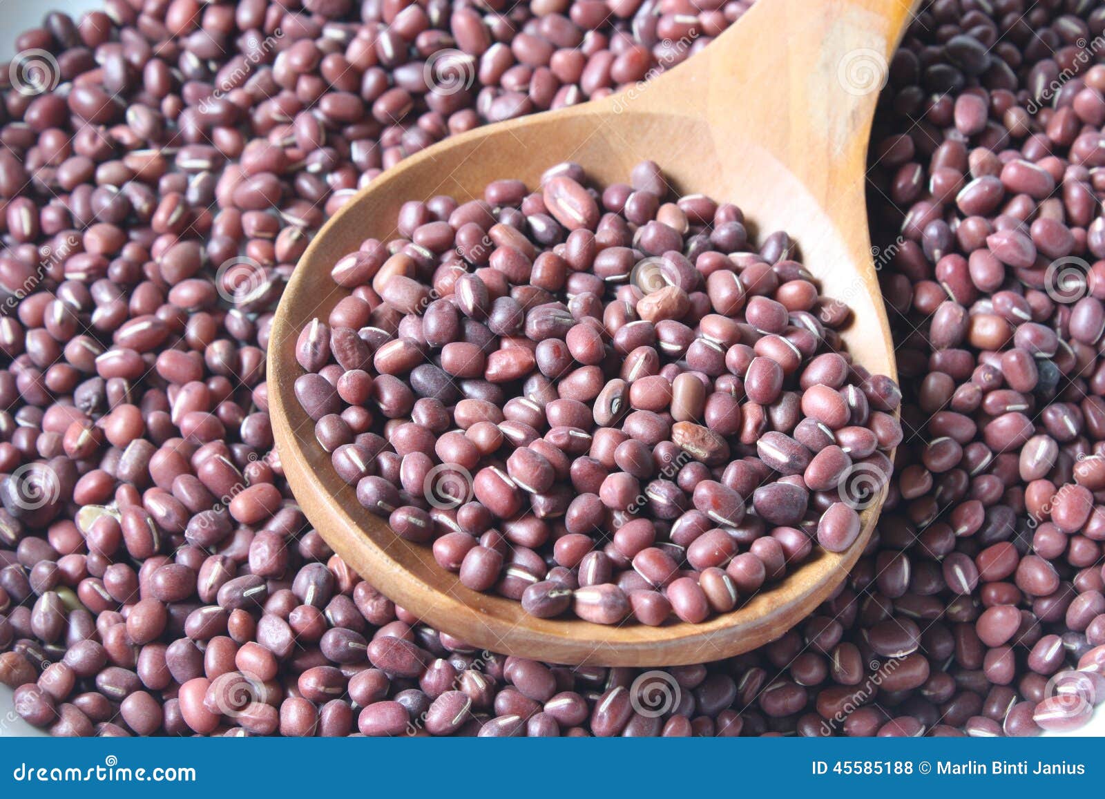 Read Bean Close up stock photo. Image of fiber, macro - 45585188