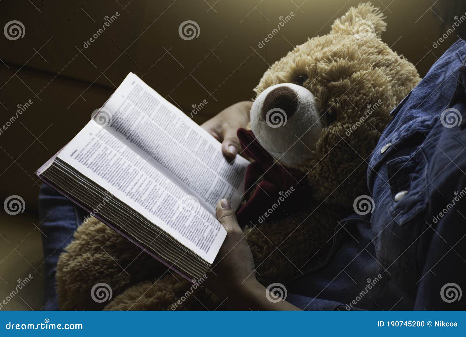 Read book at home indoor. stock photo. Image of domestic - 190745200
