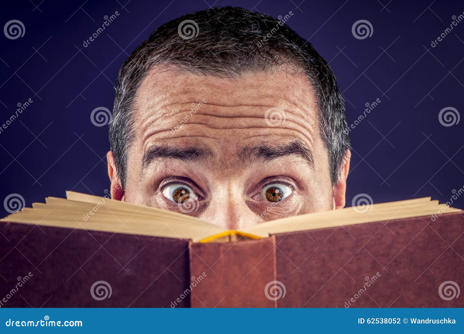 Read a book stock photo. Image of black, library, matter - 62538052