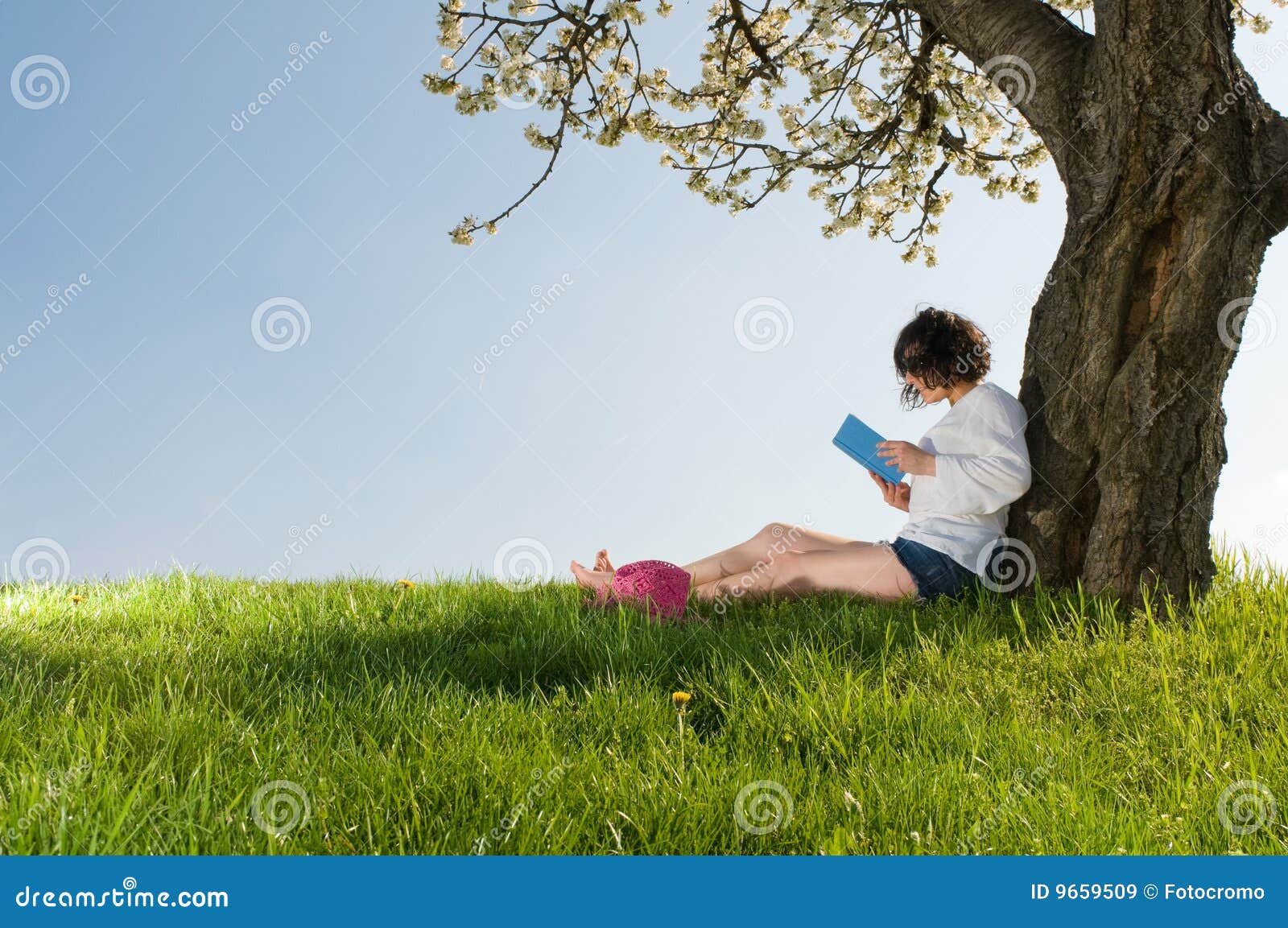 Read a Book Sitting Under a Blossom Tree Stock Image - Image of healthy ...
