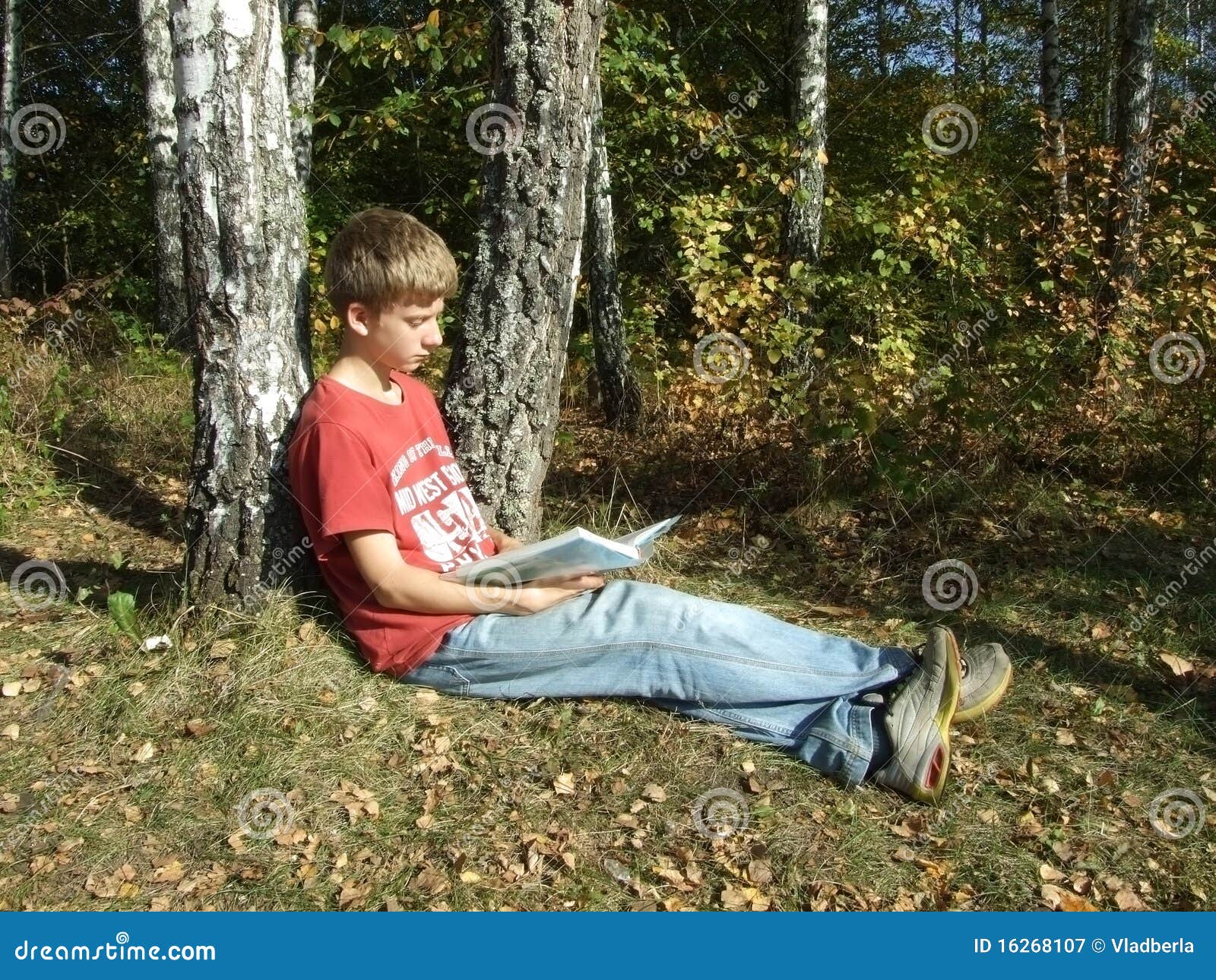 Read on the walk stock image. Image of walk, trunk, forest - 16268107