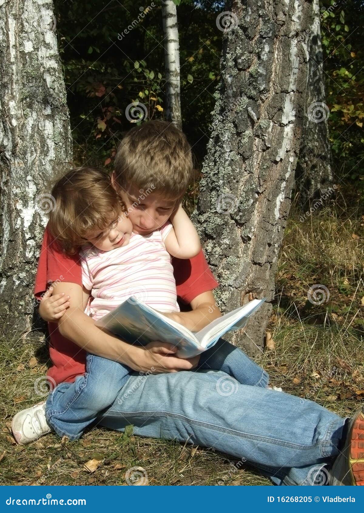 Read on the walk stock image. Image of tree, season, nature - 16268205
