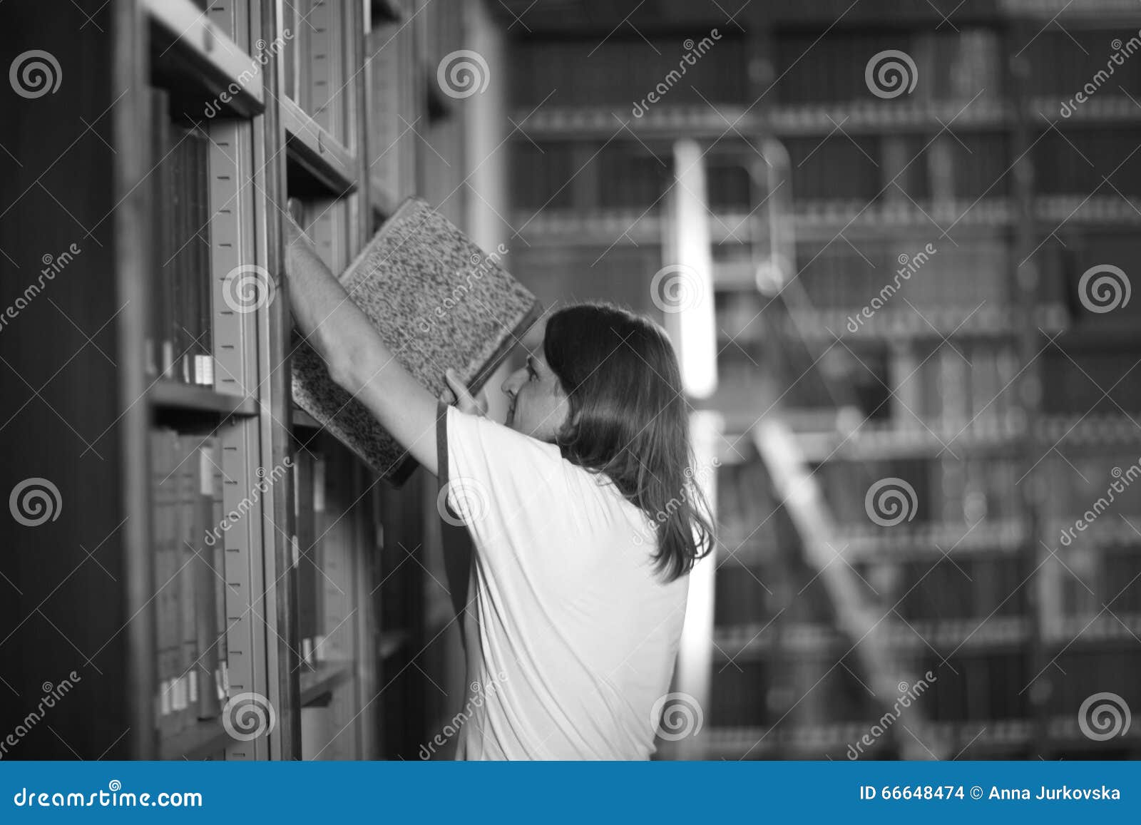 Reader Putting Book Back in the Stock Photo - Image of data, bookcase ...