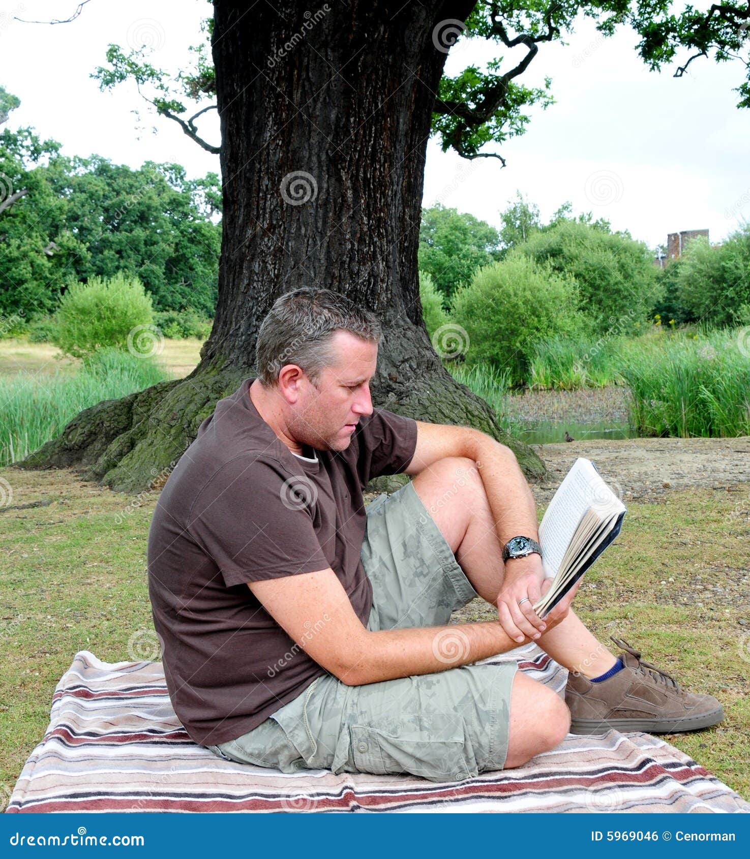 Reading stock photo. Image of middle, forties, happy, leisure - 5969046