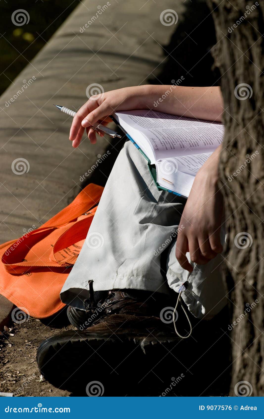 Person Reading and Making Notes on a Book Stock Photo - Image of woman ...