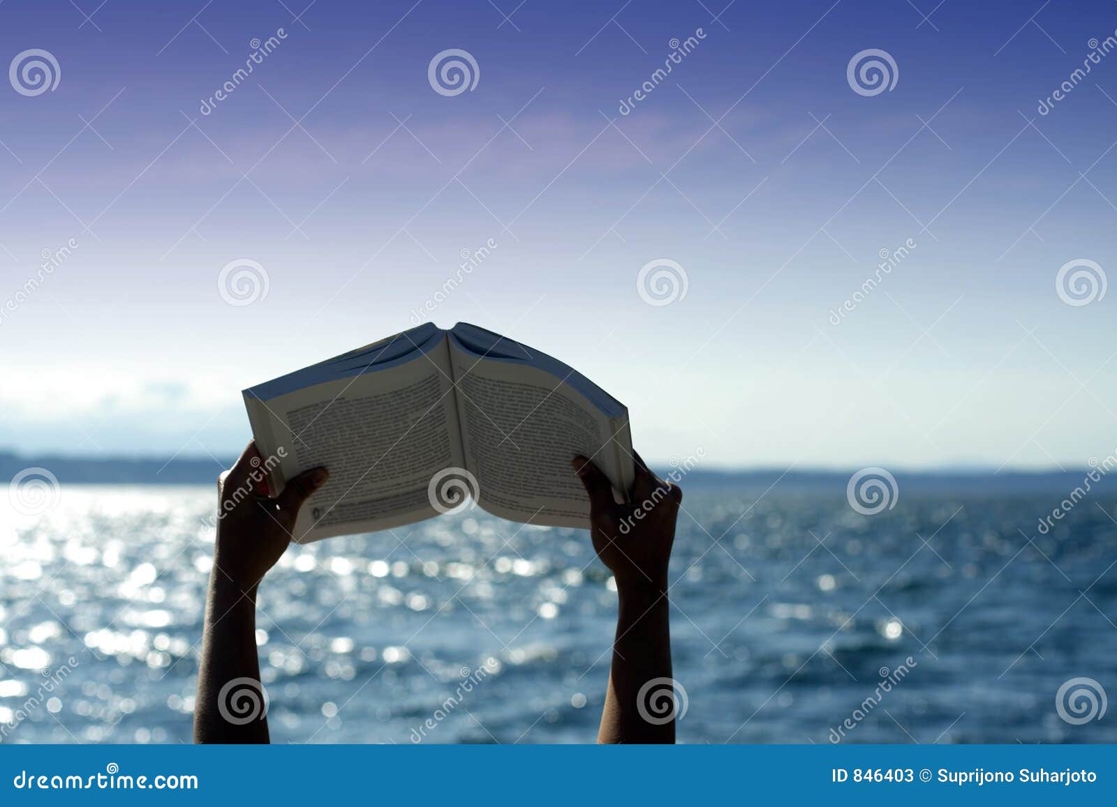 Reading on the beach stock image. Image of seaside, ocean - 846403