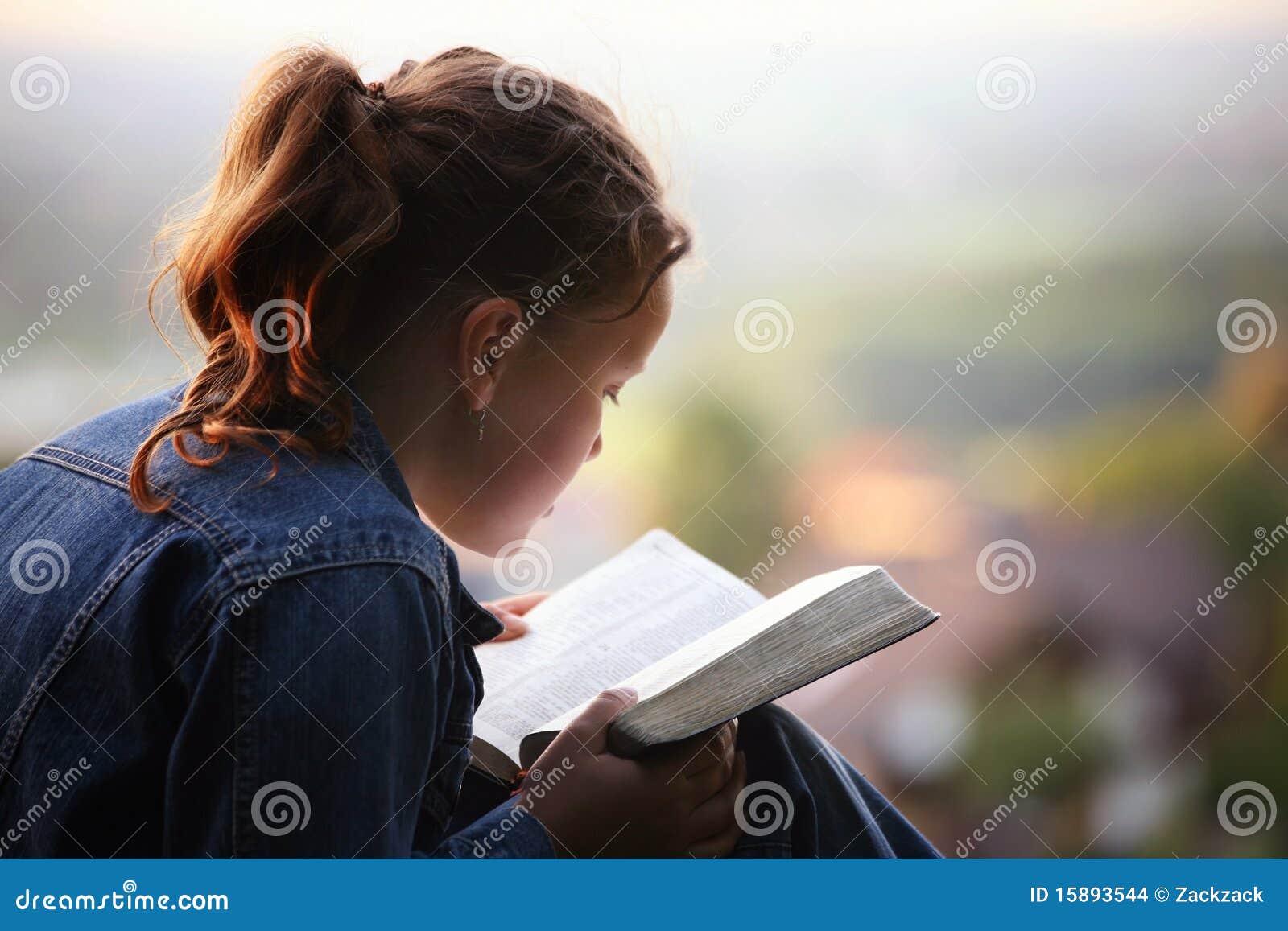 Man Reading A Bible Royalty-Free Stock Image | CartoonDealer.com #29891590