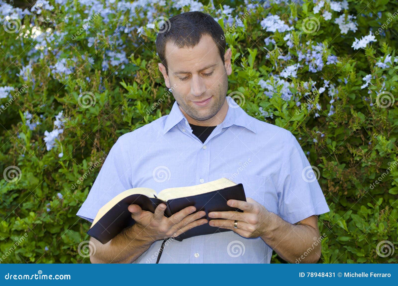 Reading the Bible outside. stock image. Image of collared - 78948431