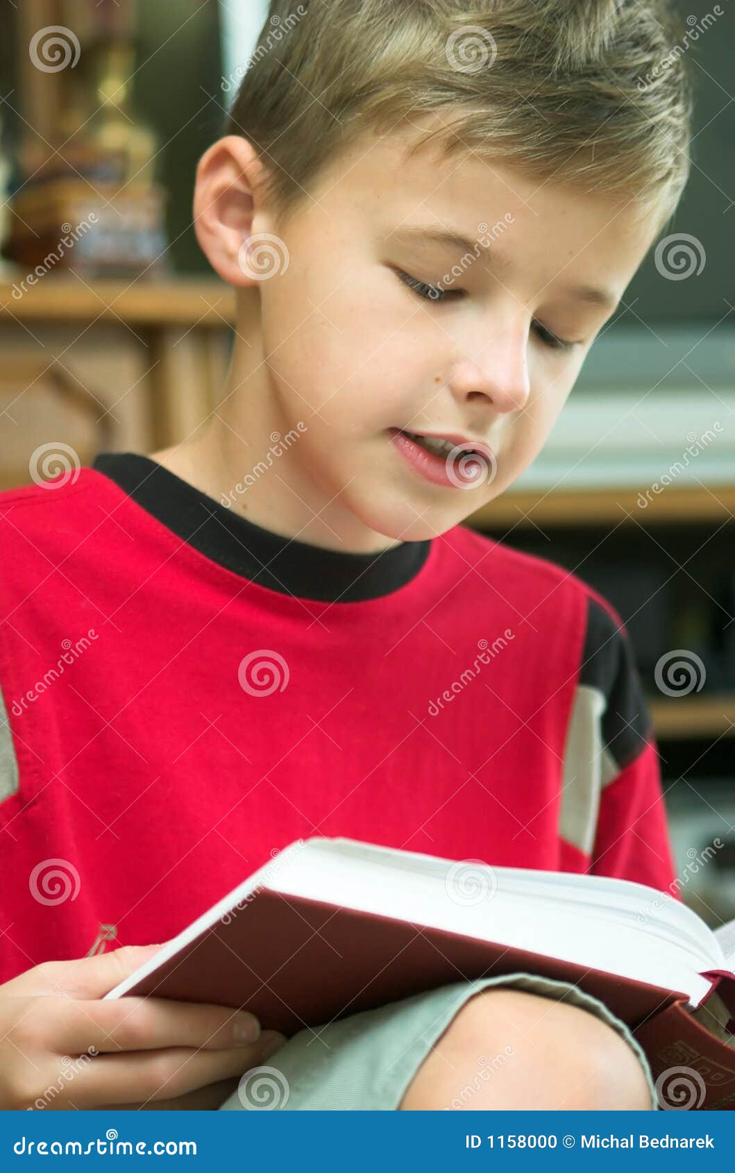 Reading book stock photo. Image of hobby, homework, learning - 1158000