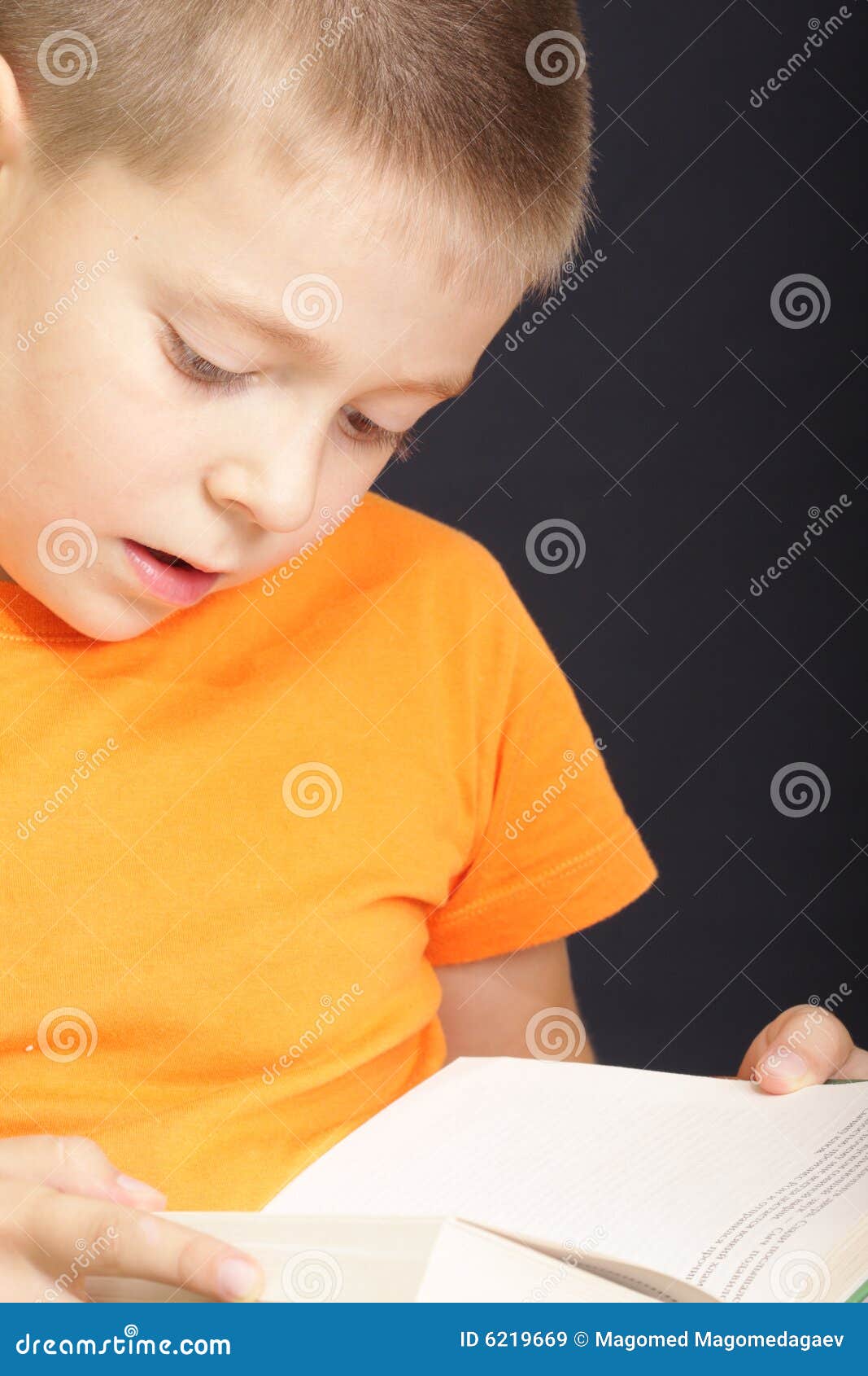 Reading book stock image. Image of occupation, education - 6219669