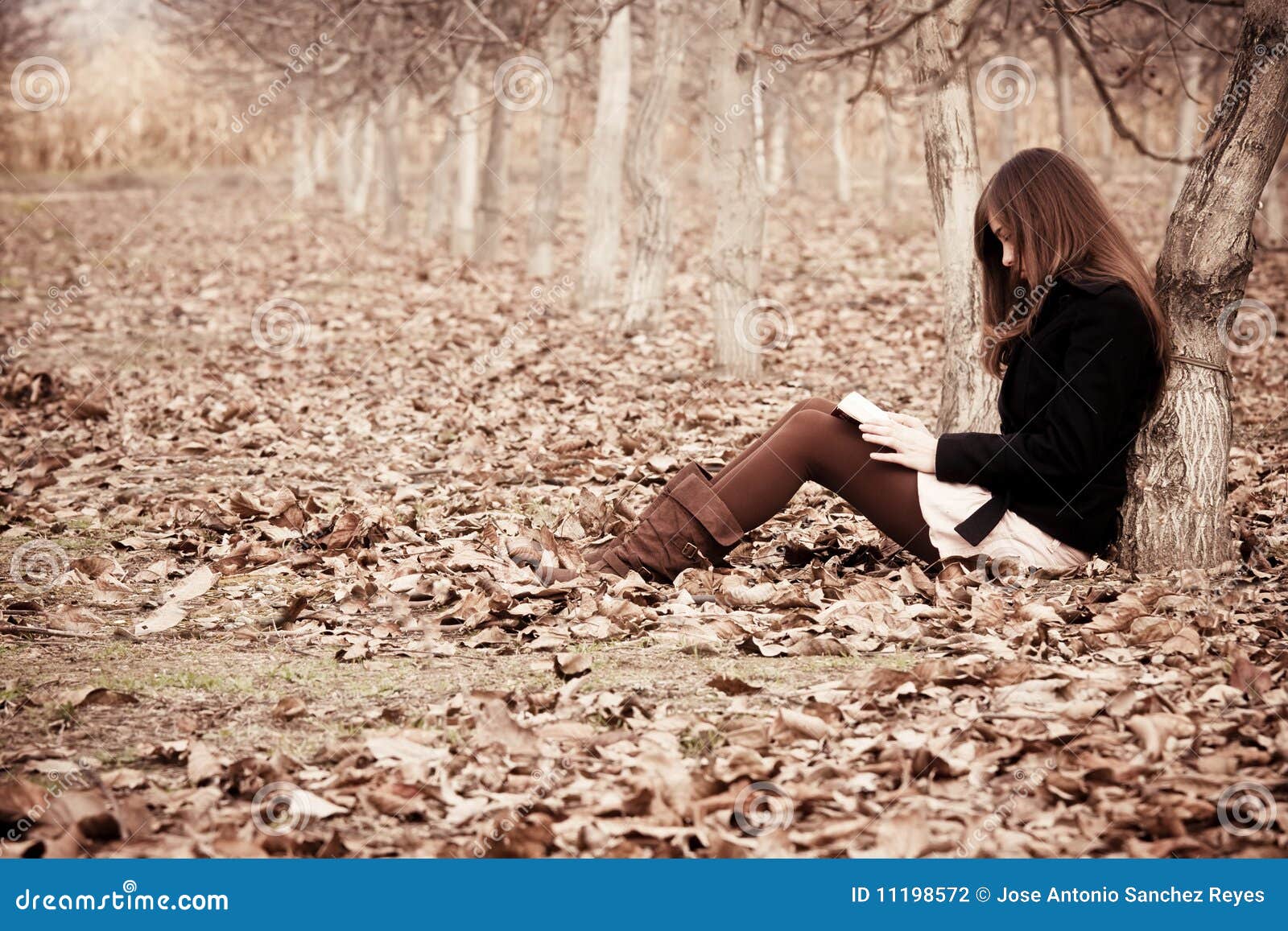 Reading a Book in the Forest Stock Photo - Image of beauty, relaxation ...