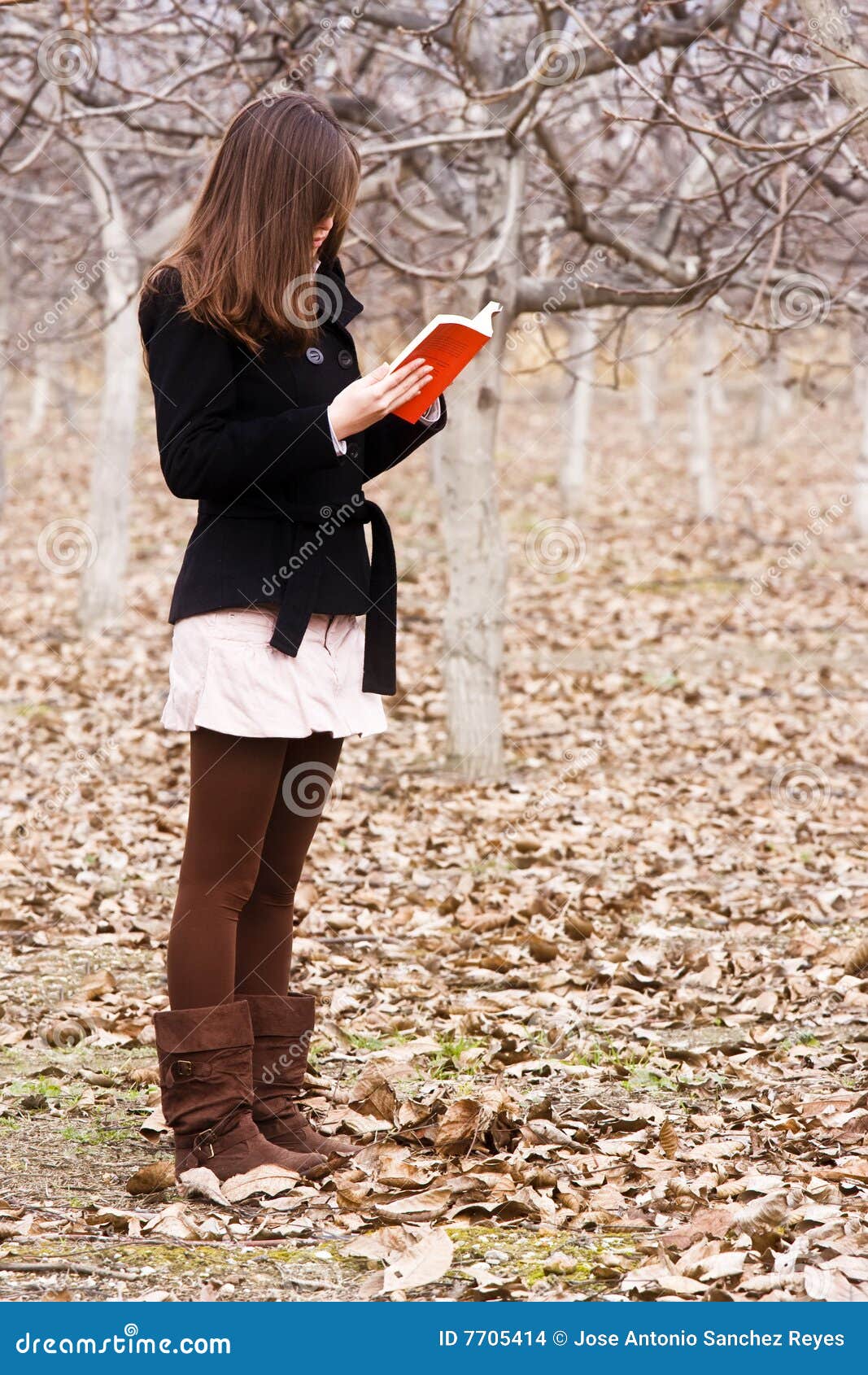 Reading a Book in the Forest Stock Photo - Image of nature, cute: 7705414
