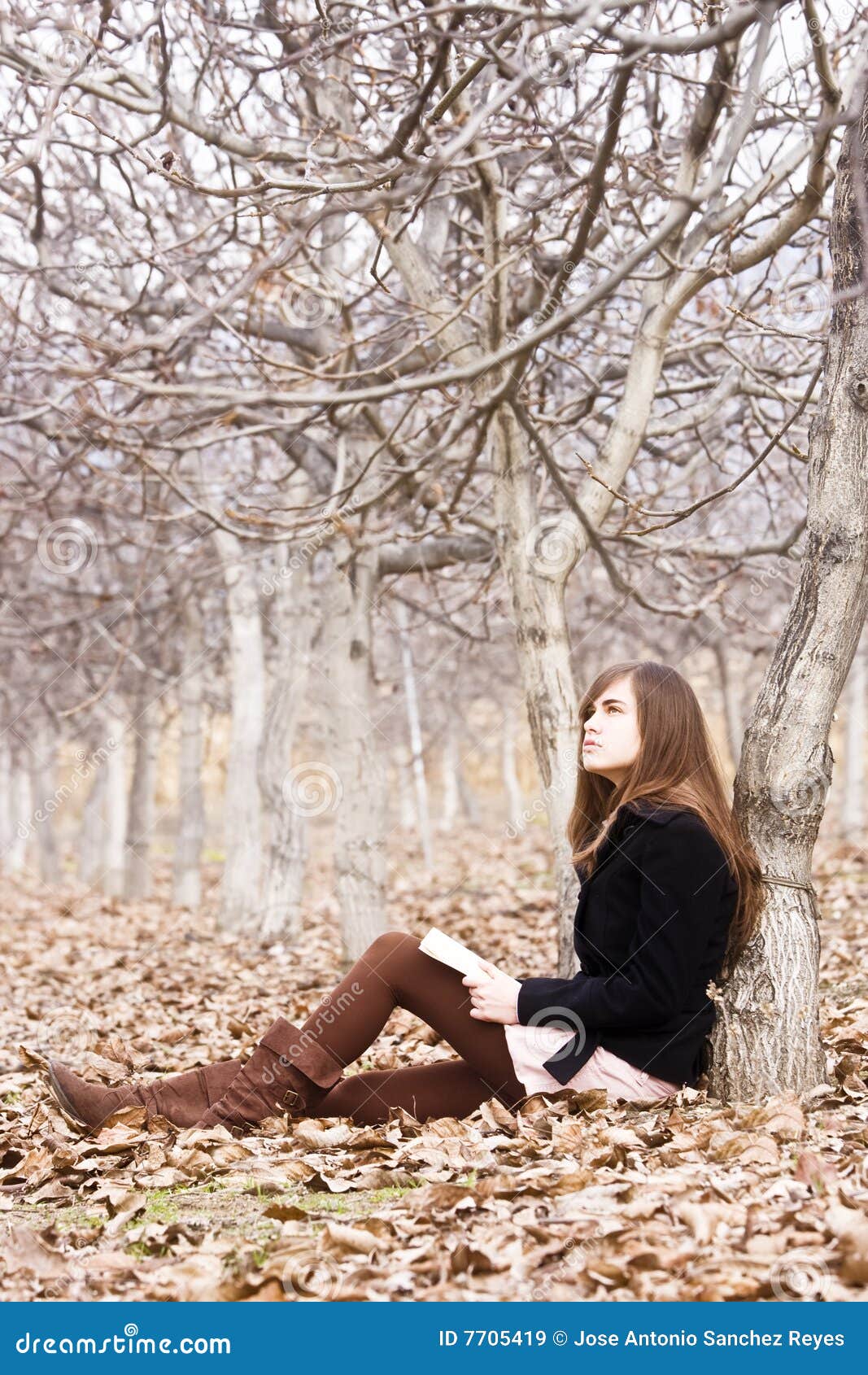 Reading a Book in the Forest Stock Image - Image of love, hopes: 7705419