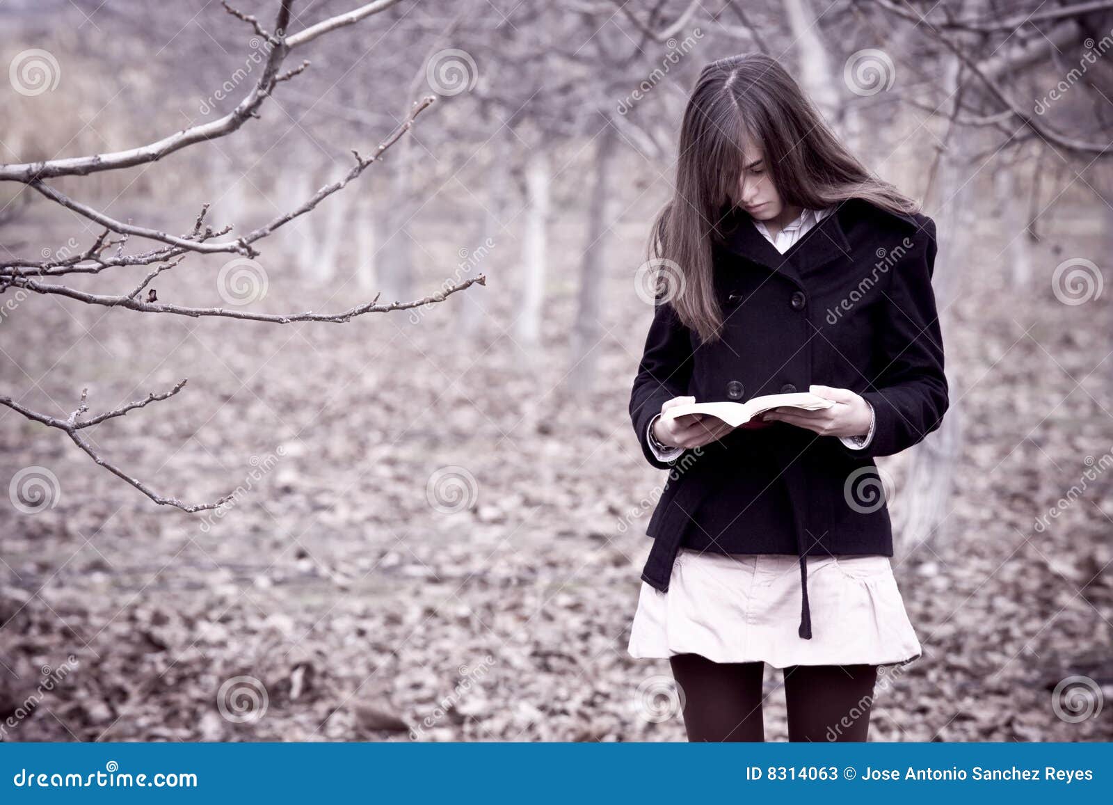 Reading A Book In The Forest Picture. Image: 8314063