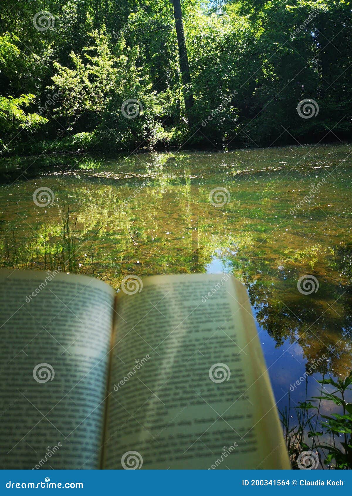 Reading a Book in the Nature Stock Photo - Image of stream, spree ...