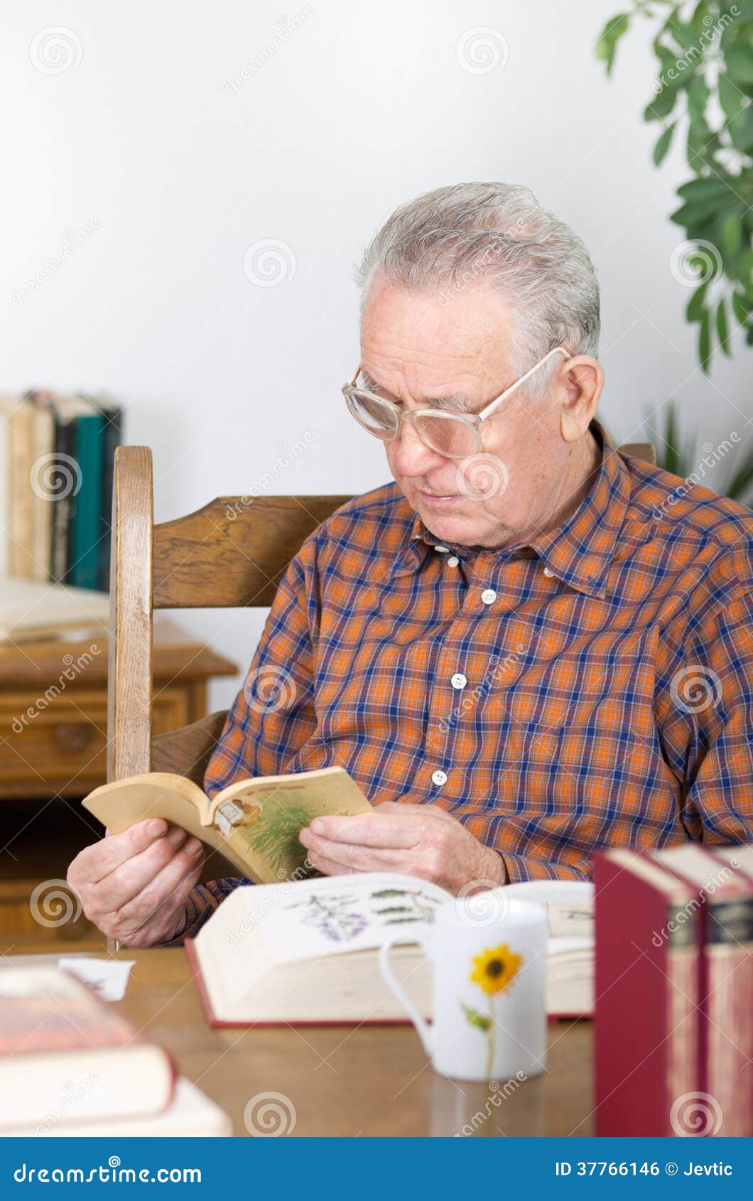 Reading book stock photo. Image of grandpa, male, culture - 37766146