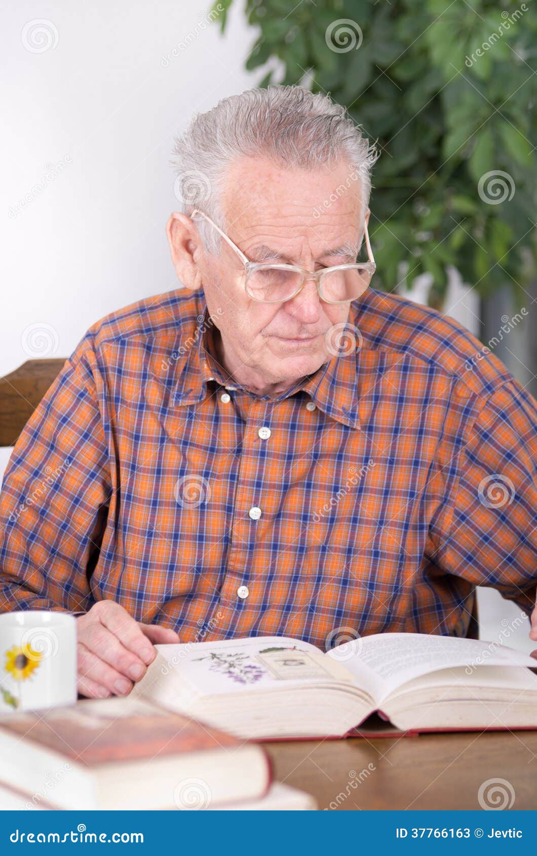 Reading book stock image. Image of caucasian, pension - 37766163