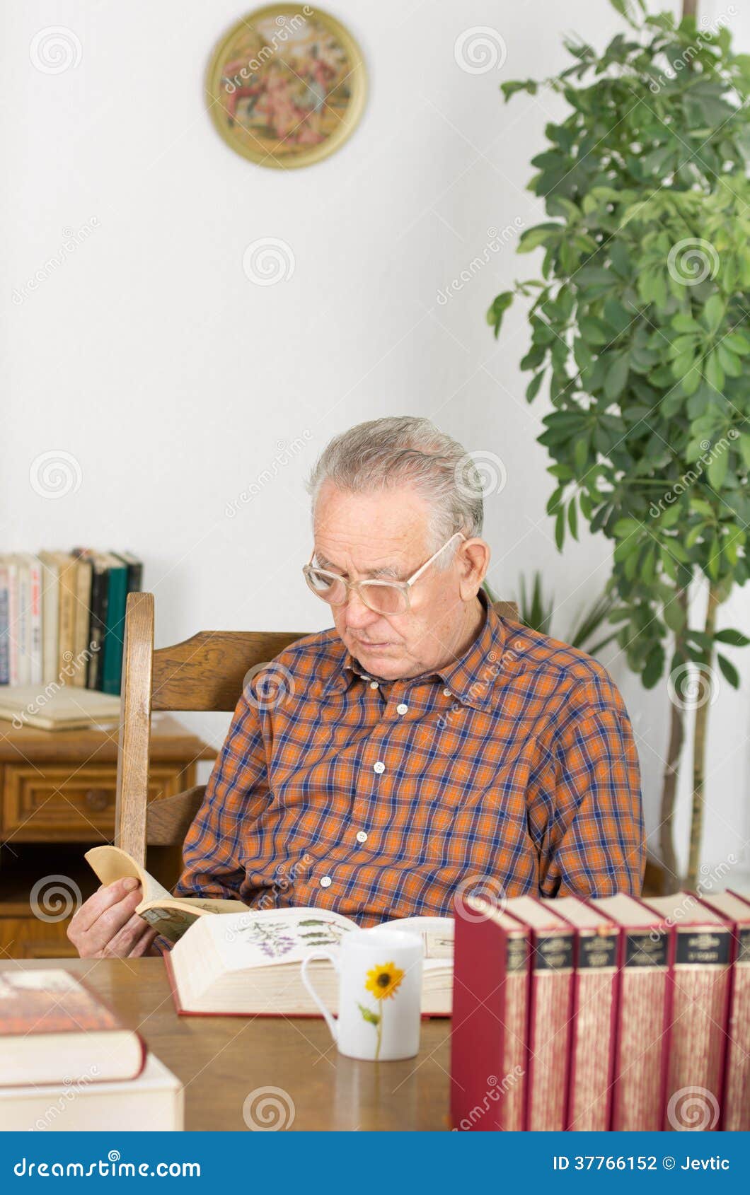Reading book stock photo. Image of academic, older, literate - 37766152